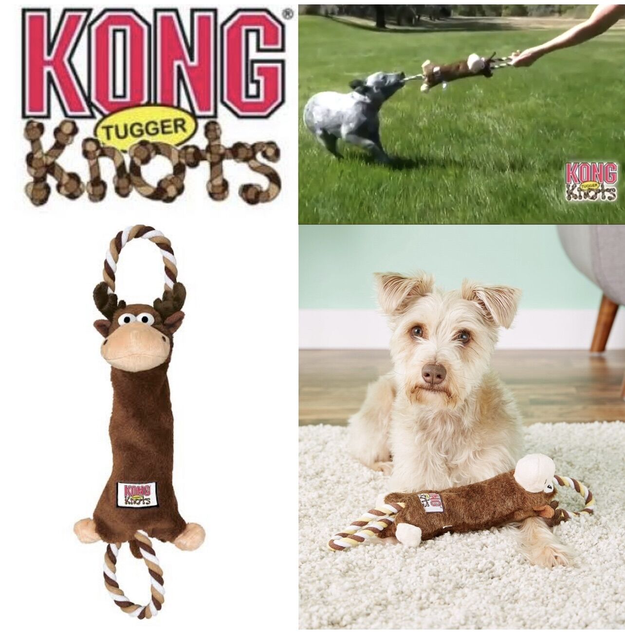Kong Tugger Knot Moose ของเล่นสัตว์เลี้ยง | Lazada.co.th