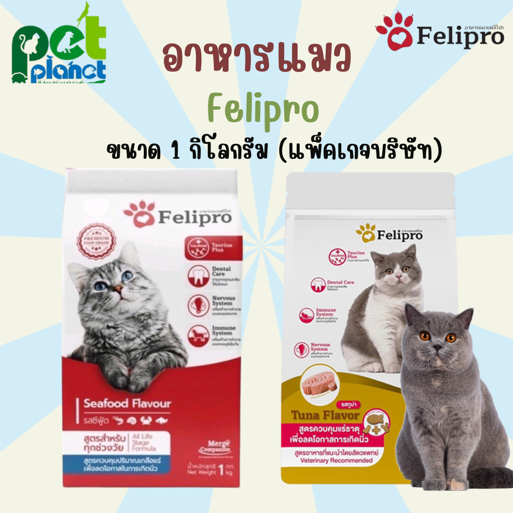 1kg. อาหารแมว Felipro อาหารแมวทุกช่วงวัย อาสำหรับ แมว ทุกสายพันธุ์ ขนม ...