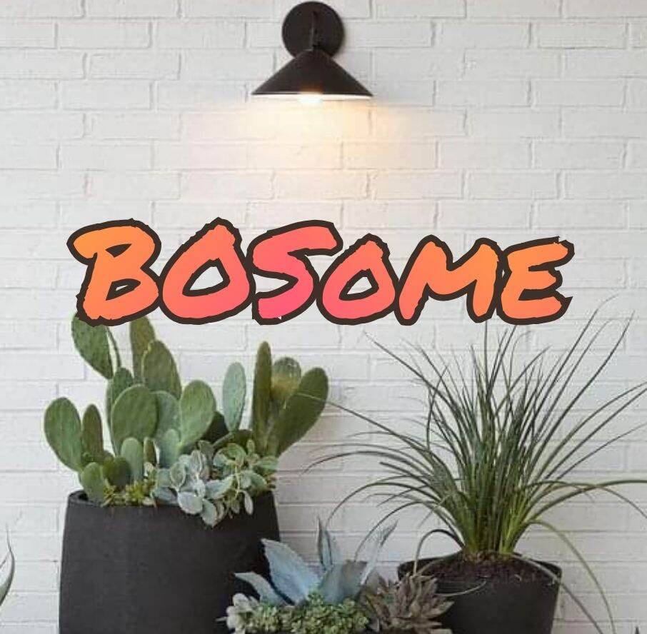 bosome ประเทศไทย ร้านค้าออนไลน์อย่างเป็นทางการ | ช้อปเลยบน Lazada