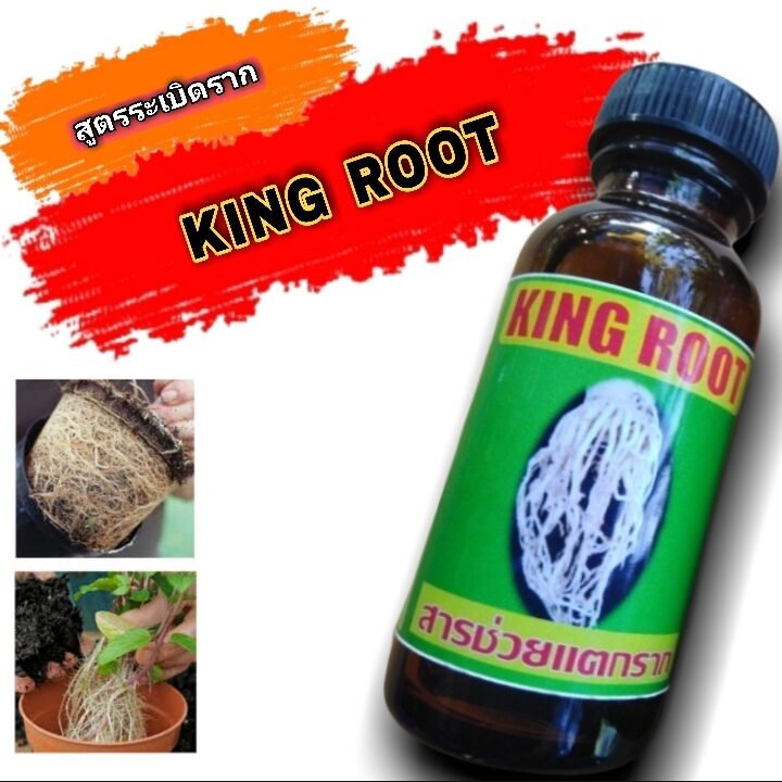 น้ำยาเร่งราก KING ROOT สาร กระตุ้น ราก | Lazada.co.th