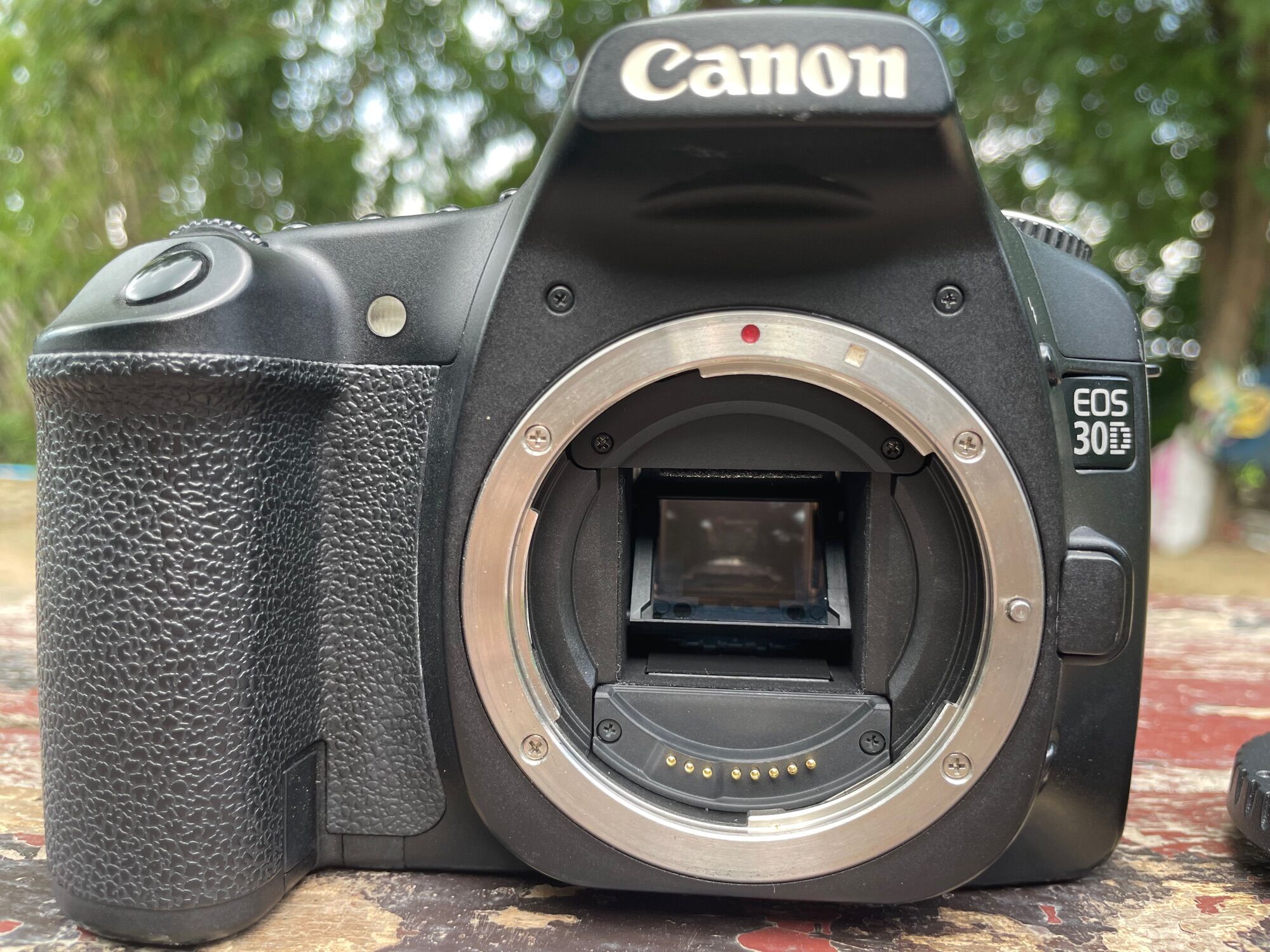 Canon 30D Body - ทีเจ เนเจอร์รัล - ThaiPick