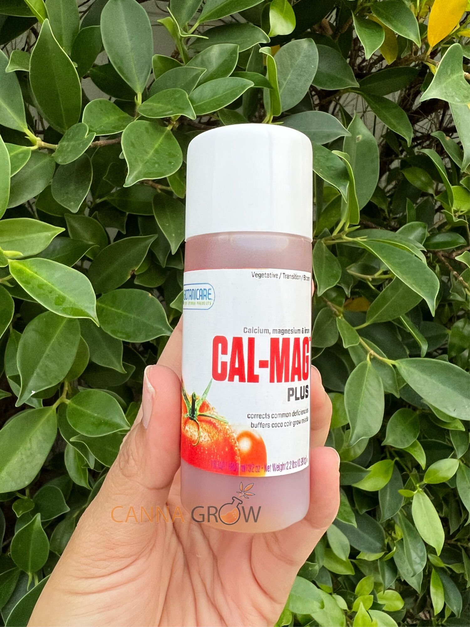 Botanicare Cal Mag ปุ๋ยเพิ่ม แคลเซียม ธาตุเหล็ก และ แมกนีเซียม ทำให้ใบ ...