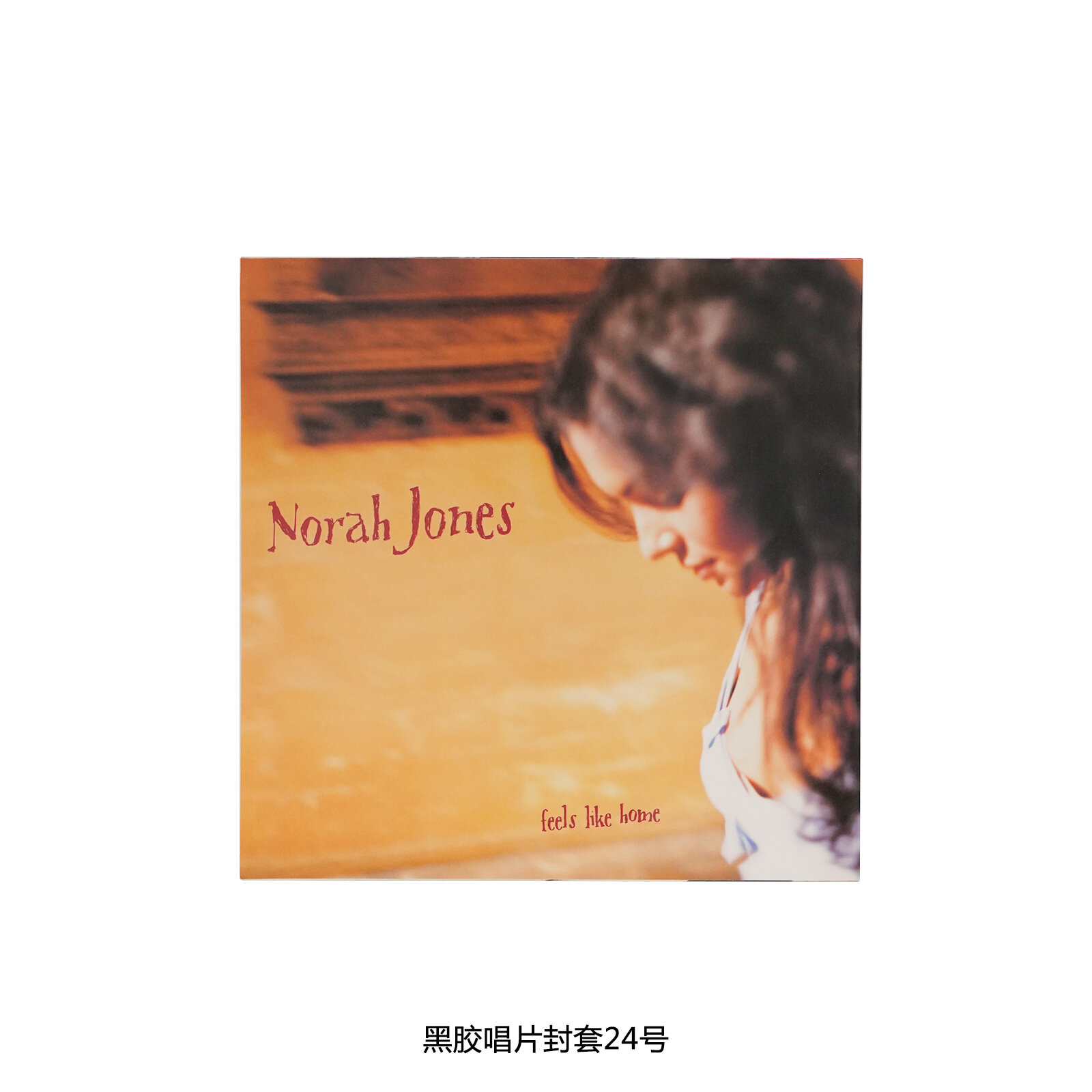 Fanqi แผ่นเสียงไวนิลแบบโบราณทันสมัยเรียบง่ายแผ่นเสียงจำลองของประดับตก ...