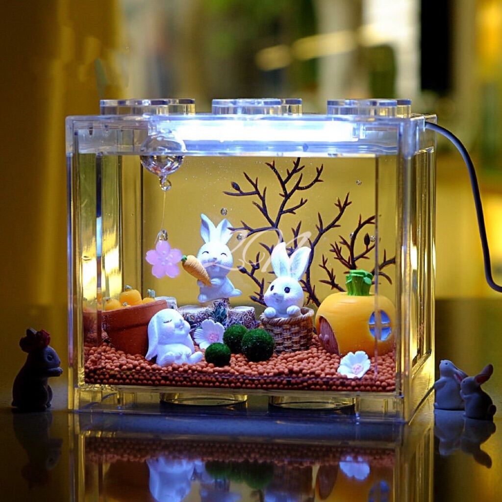 (พร้อมส่ง💯%) มาริโมะ Marimo Set XXL ตู้เหลี่ยมJUMBO มีไฟLED แถมฟรีอุปกรณ์ครบชุดพร้อมเลี้ยง ตู้ ...