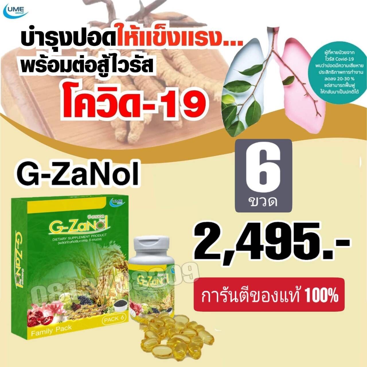 G-zanol 10เซียน จีซานอล 6 ขวด ราคา 2195฿ - Umegolddd - ThaiPick
