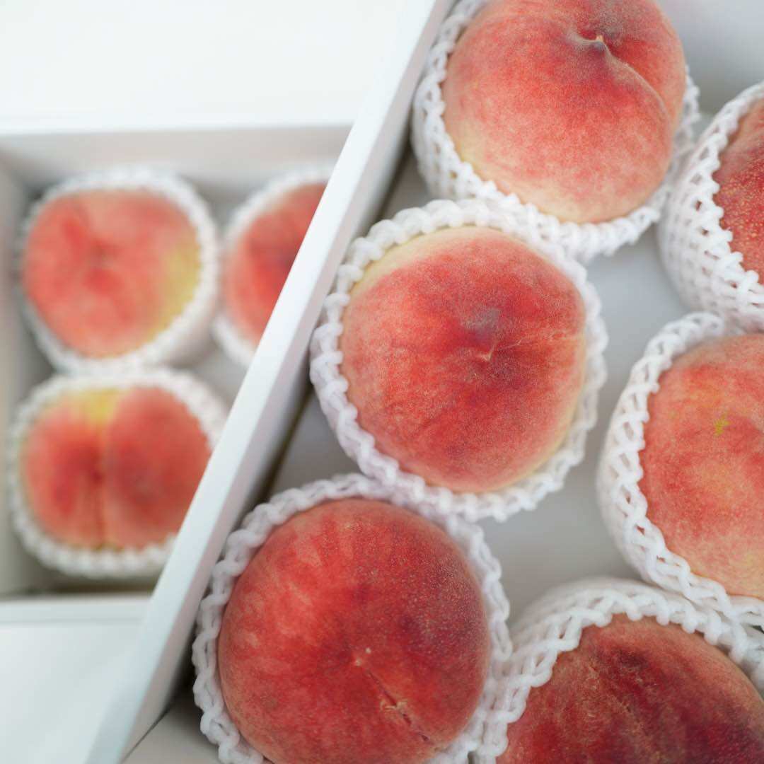 Japanese Peach - Fruit O’Clock - ThaiPick