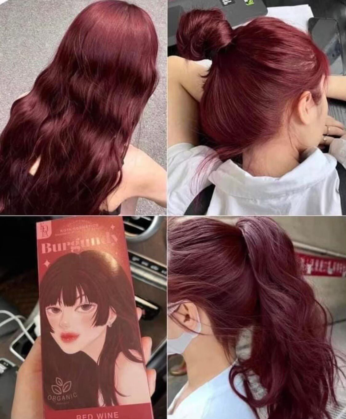 Kota สีย้อมผมสีแดง burgundy (red wine) ออร์แกนิค | Lazada.co.th