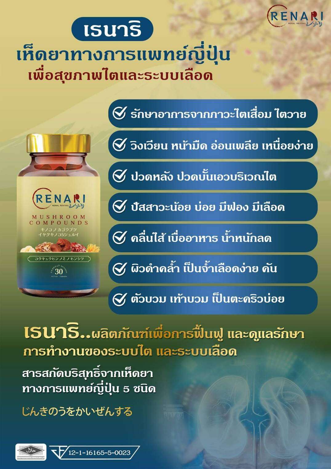 เรนาริRENARIบำรุงฟื้นฟูไตทุกระยะ(30แคปซูล)เห็ดทางการแพทย์ญี่ปุ่น ...