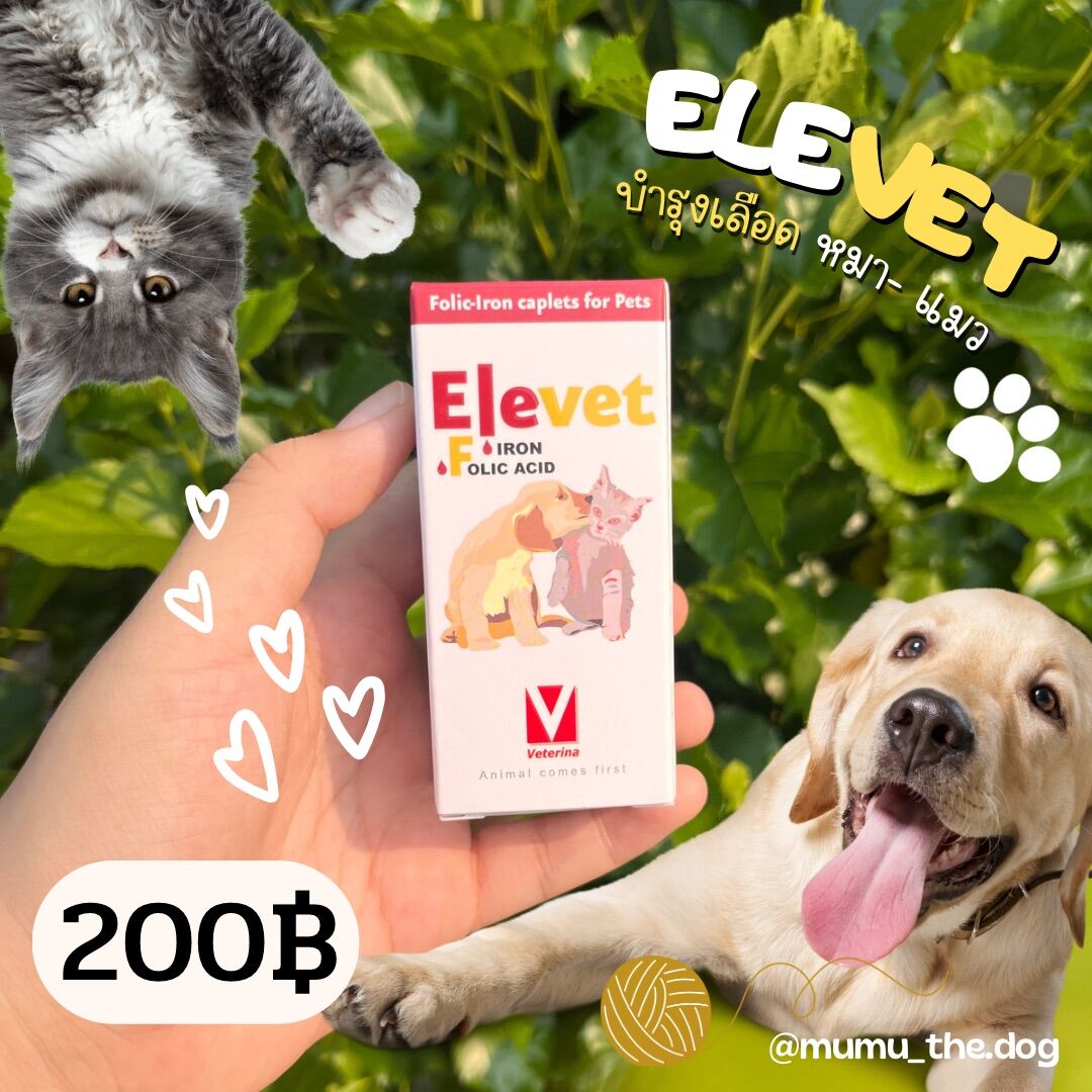 Elevet วิตามินบำรุงเลือด หมา-แมว | Lazada.co.th