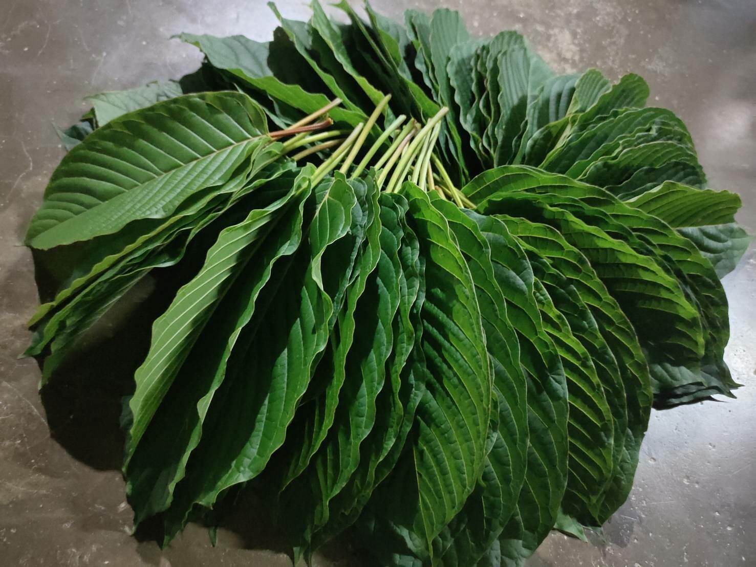 ช้อปออนไลน์ wiiwiw Kanokwan | Lazada Thailand