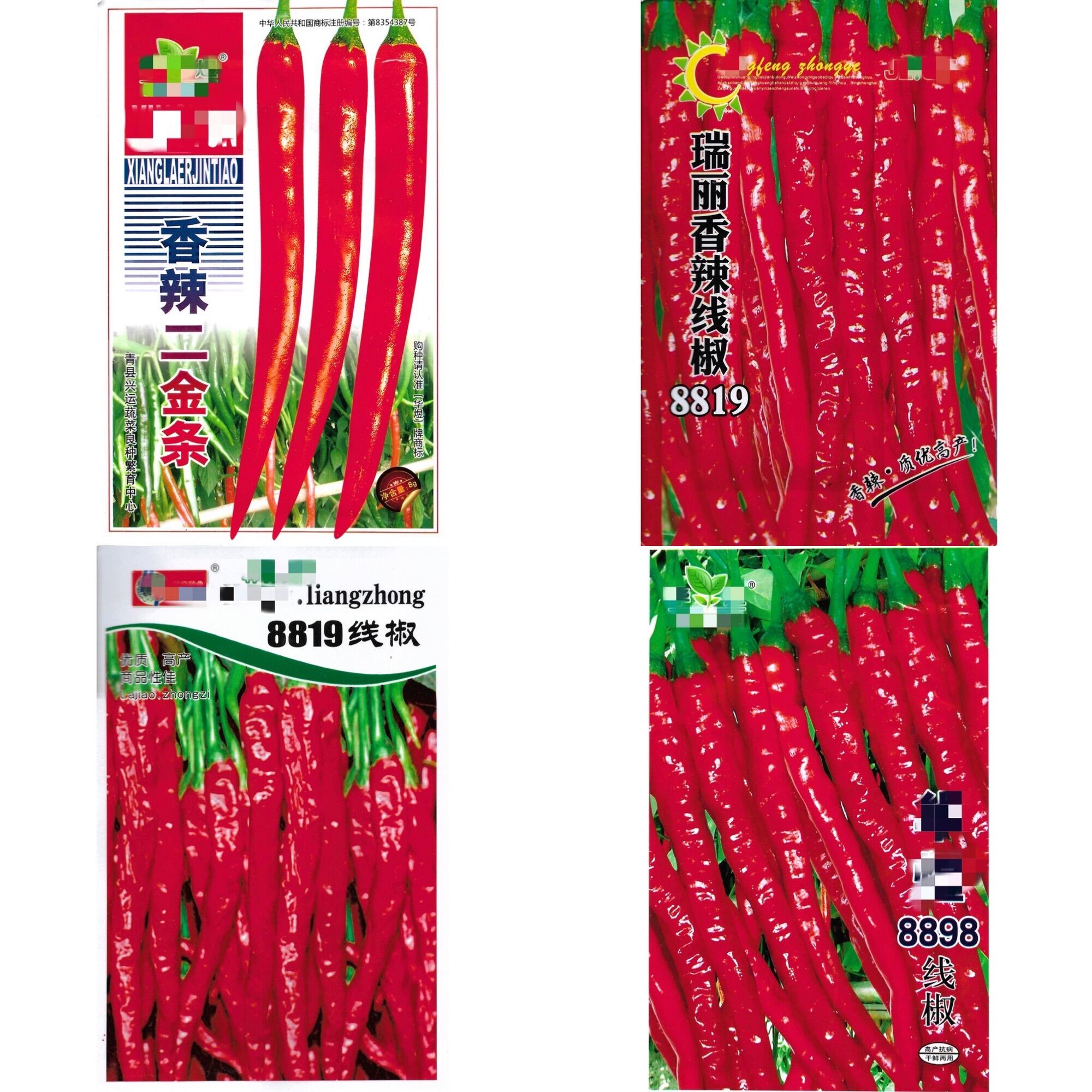 เมล็ดพันธุ์ พริกโจลอง 500 เมล็ด เมล็ดพริกยาวจีนยอดนิยม เมล็ดนำเข้า ...