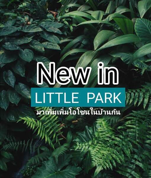 Little Park ประเทศไทย ร้านค้าออนไลน์อย่างเป็นทางการ | ช้อปเลยบน Lazada