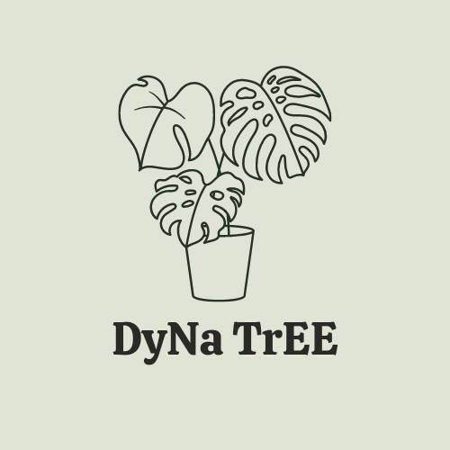 ช้อปออนไลน์ Dyna Tree | Lazada Thailand