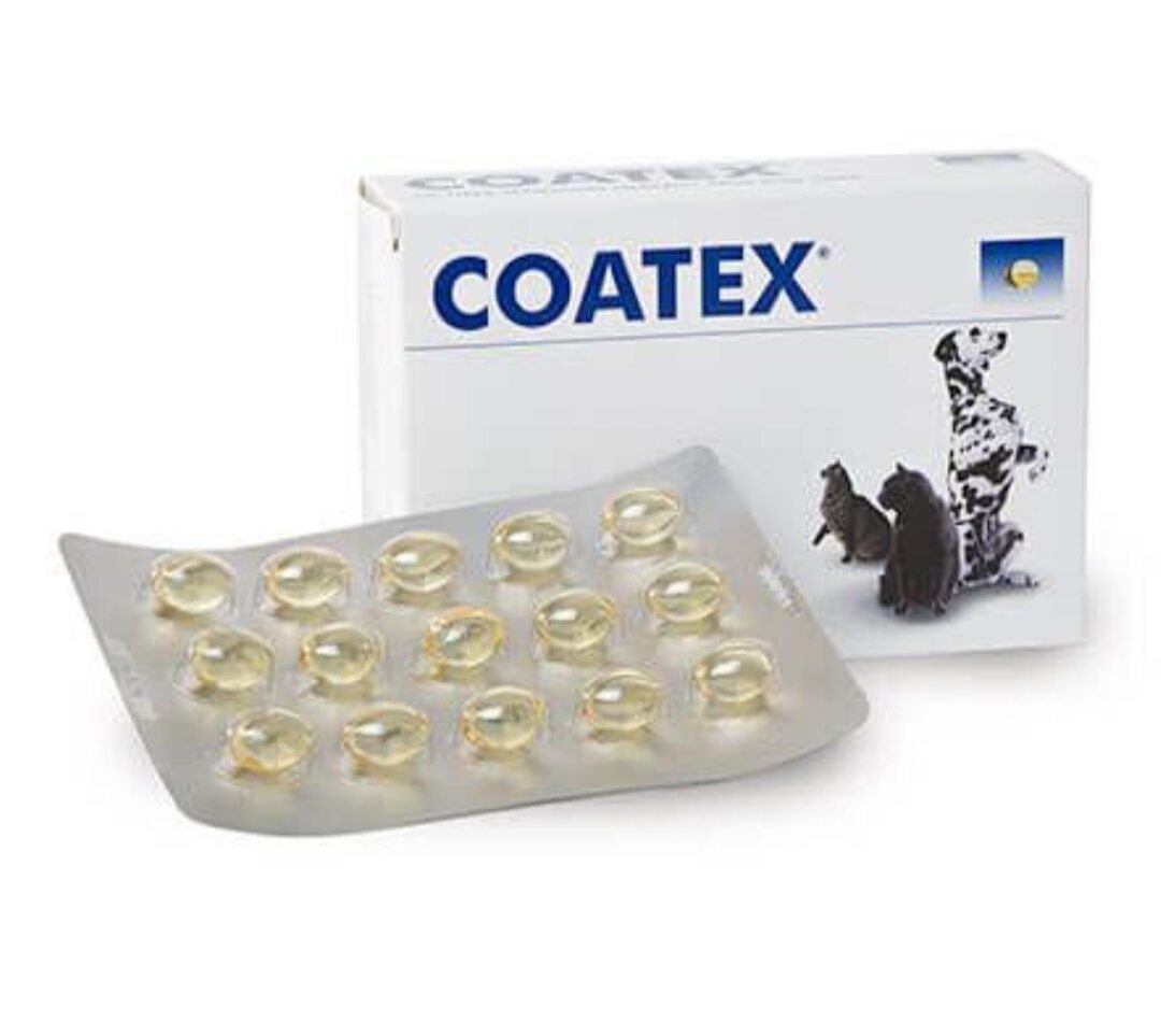 coatex vetplus ส่งฟรีไม่ใช้โค้ด coatex vetplus 1กล่อง 60 capsule อาหาร ...