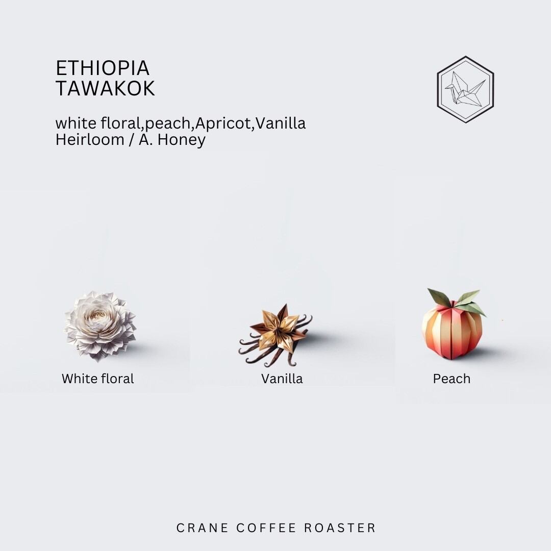 Ethiopia TWAKOK Anarobic honey process | Lazada.co.th