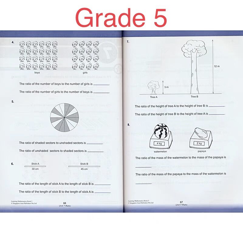 Learning Mathematics Singapore Math SAP Math workbook In Stock ...