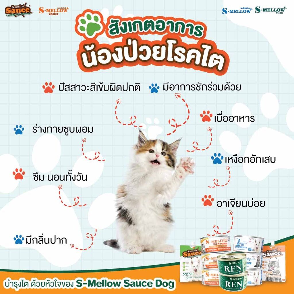 S-mellow REN อาหารแมวป่วยโรคไต 80 กรัม EXP3102024 - Natty Best shop ...