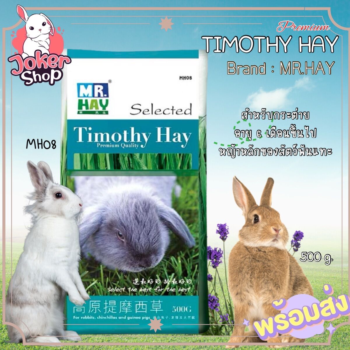 หญ้าทิมโมธีพรีเมียม MR.HAY ถุง 500 กรัม สำหรับสัตว์ฟันแทะ กระต่ายโต ...