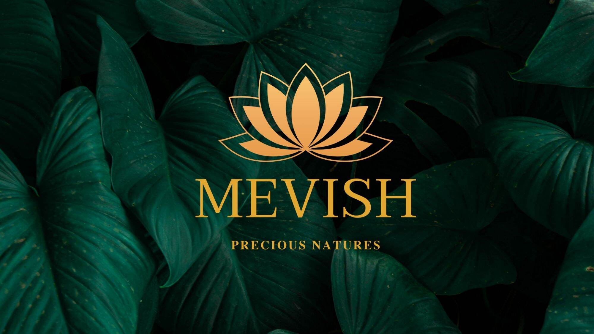 ช้อปออนไลน์ Mevish.bangkok | Lazada Thailand