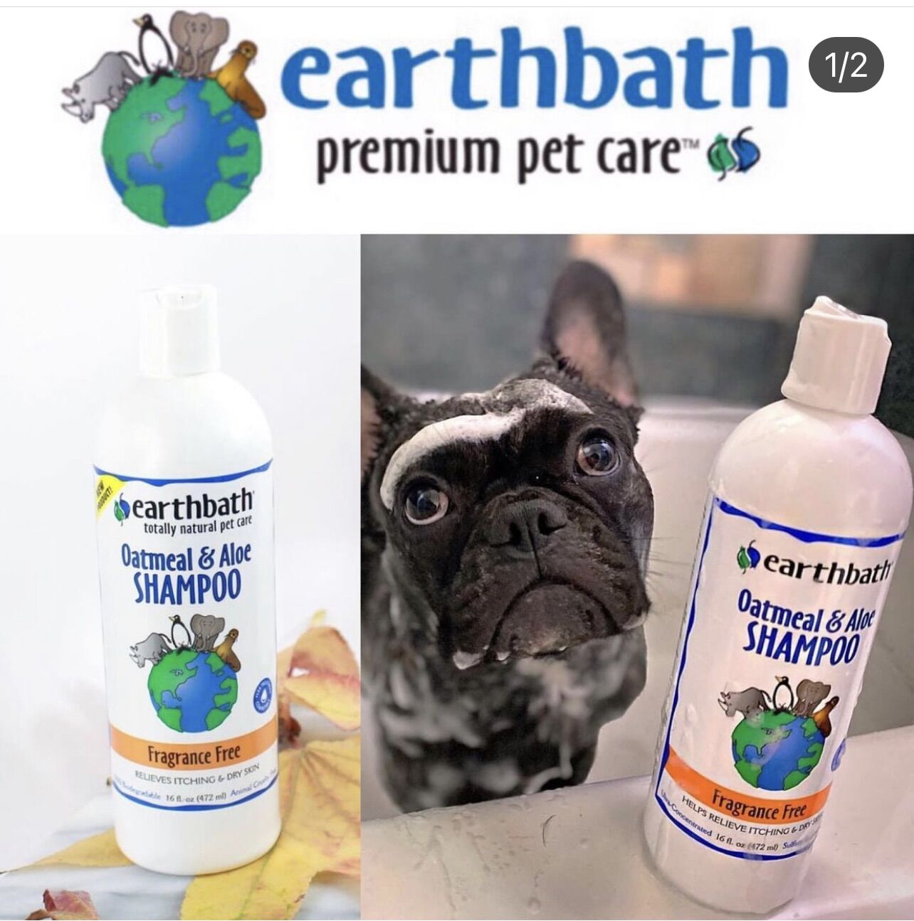 Earthbath แชมพู Oatmeal & Aloe สูตรไร้น้ำหอม Fragrance Free - Pet ...