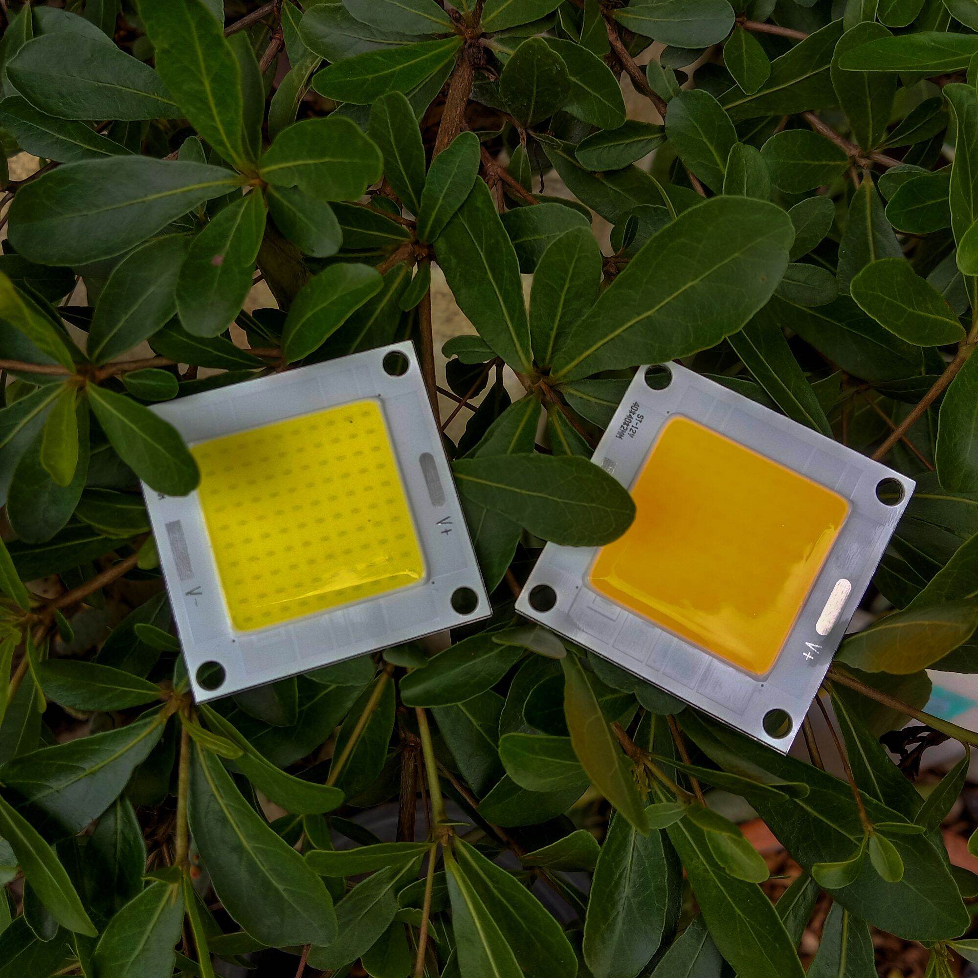 30-50W LED 12VDc cob chip spotlight LED 50w 12V - DI-Y - ThaiPick