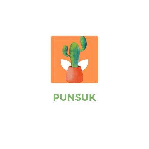 PUNSUK SHOP BY SILVER ร้านค้าทางการในประเทศไทย ช้อปสะดวกปลอดภัย ที่ Lazada ตลอดเดือน 04 2025
