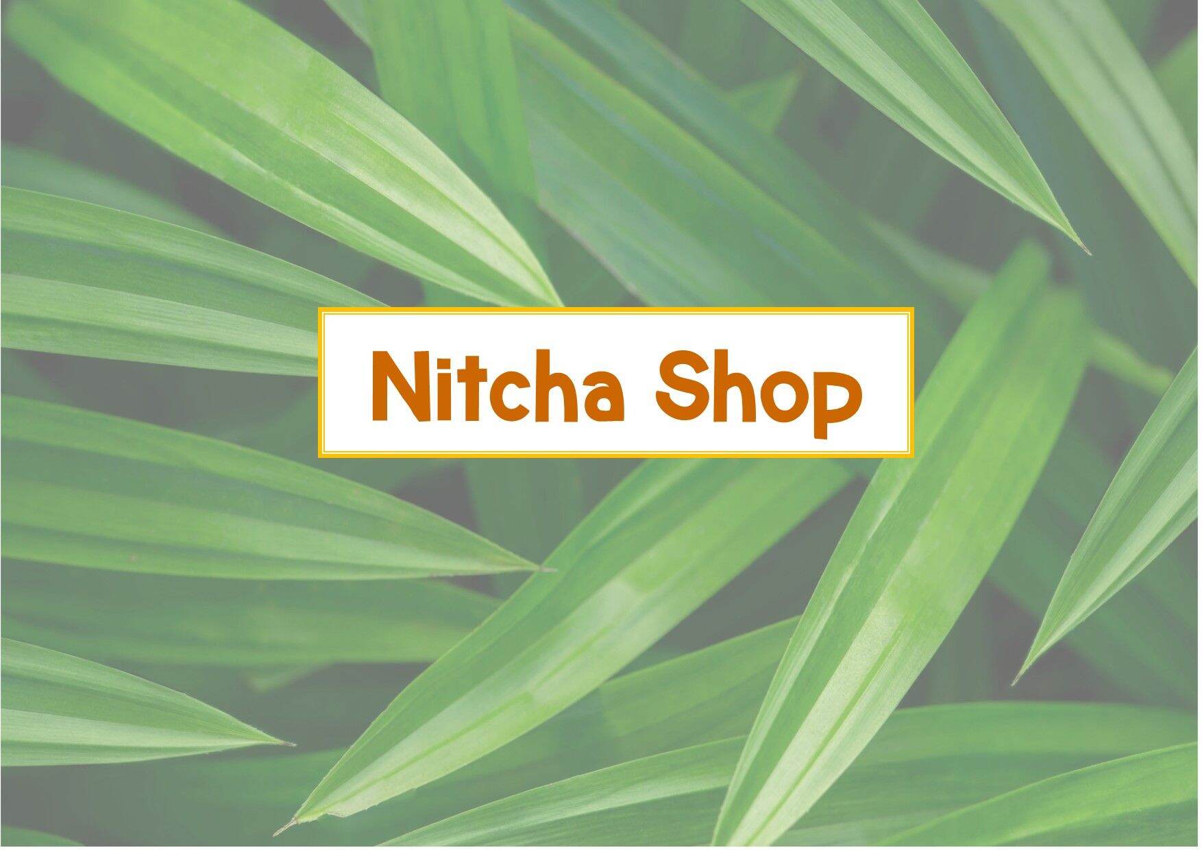 ช้อปออนไลน์ Nitcha Shop_zEESeCHW | Lazada Thailand