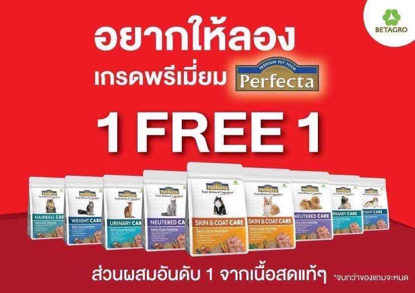 📌1 แถม1 แถมขนาดเดียวกัน สูตรเดียวกัน 📌Perfecta Cat Care อาหารแมว เพอร ...