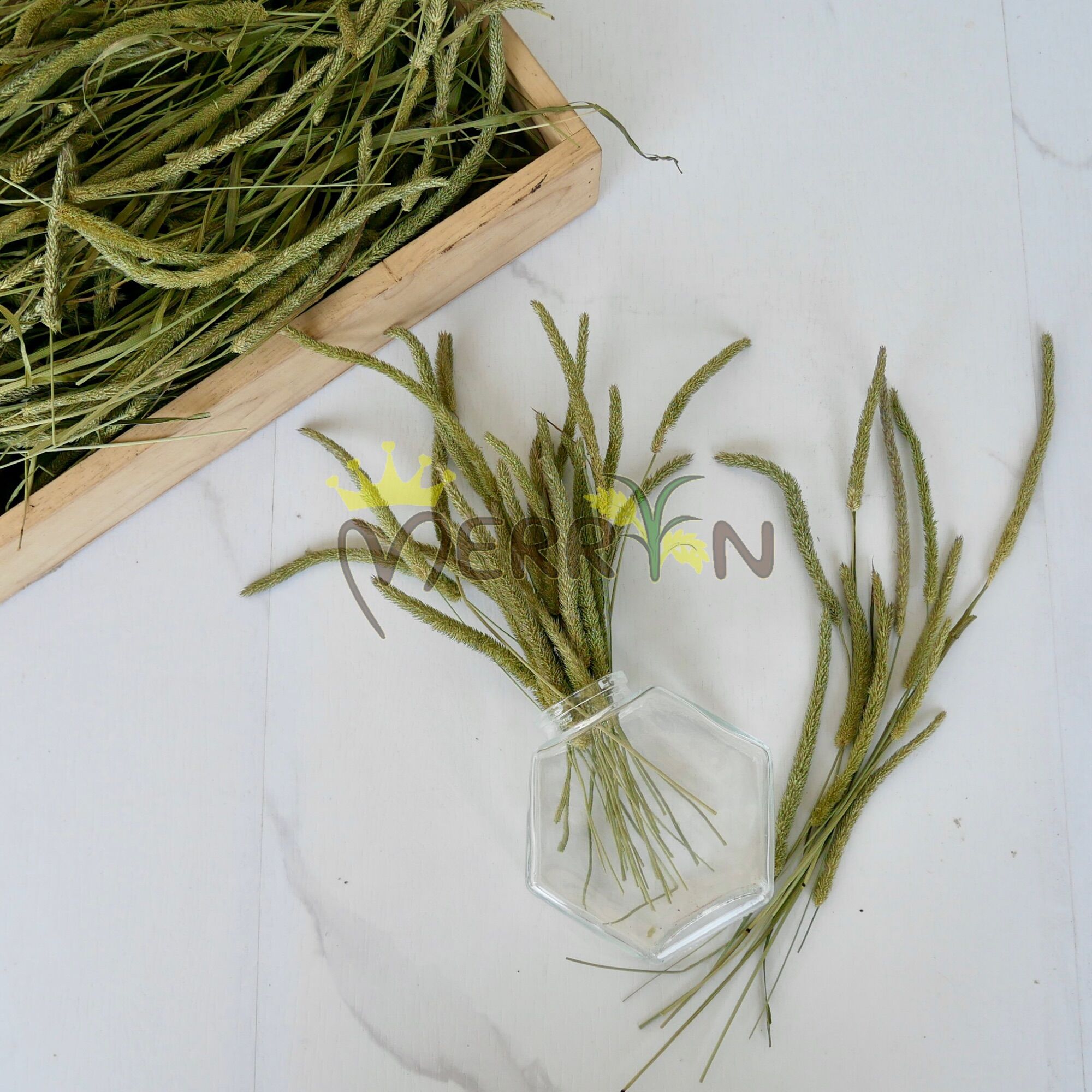 ดอกหญ้าทิโมธี (ติดก้าน) - Timothy Grass Flowers by Merryn Exotic (100G) - MERRYN EXOTIC - ThaiPick