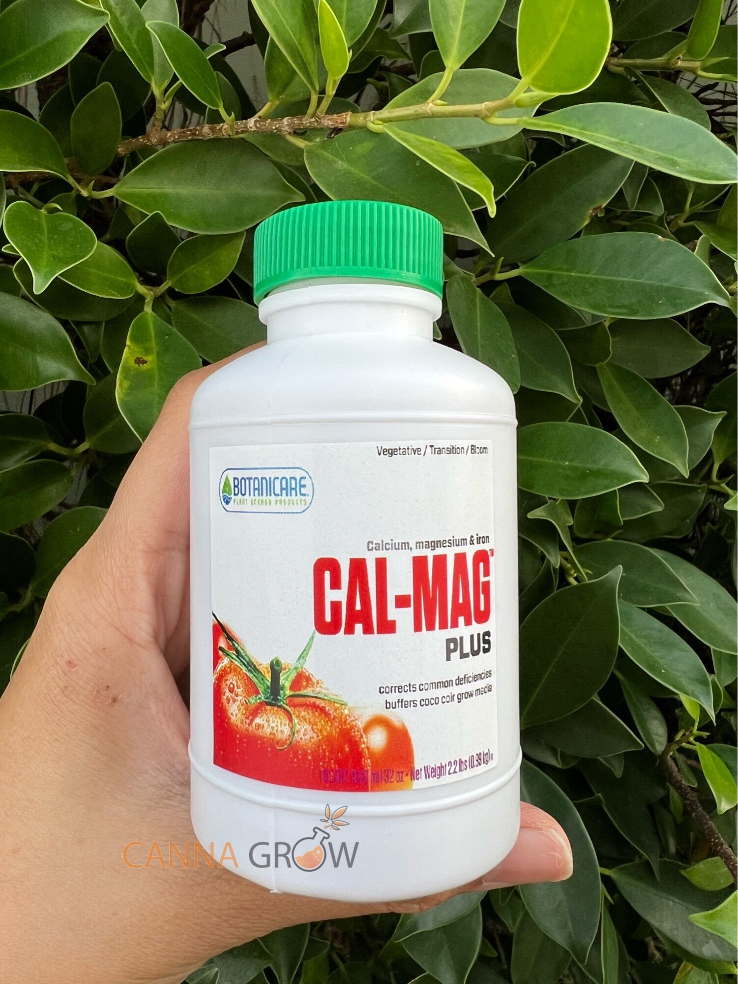 Botanicare Cal Mag ปุ๋ยเพิ่ม แคลเซียม ธาตุเหล็ก และ แมกนีเซียม ทำให้ใบ ...