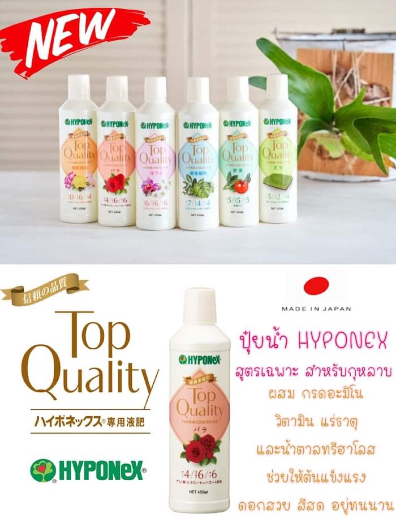 ปุ๋ยน้ำญี่ปุ่น HYPONEX TOP QUALITY สูตรพิเศษเฉพาะ สำหรับกุหลาบทุกสาย ...