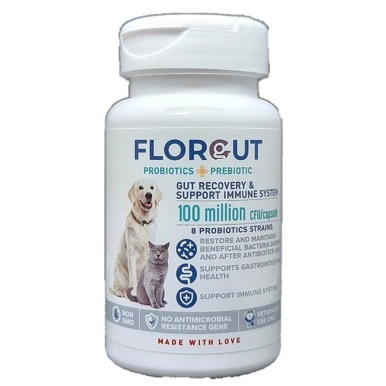 FLORGUTฟลอกัท อาหารเสริมProbiotics&Prebiotic สำหรับสัตว์เลี้ยง ขนาด ...
