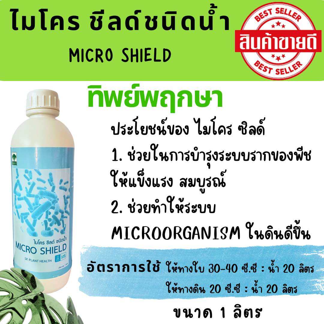 ไมโคร ชีลด์ ชนิดน้ำ MICRO SHIELD ทิพย์พฤกษา | Lazada.co.th