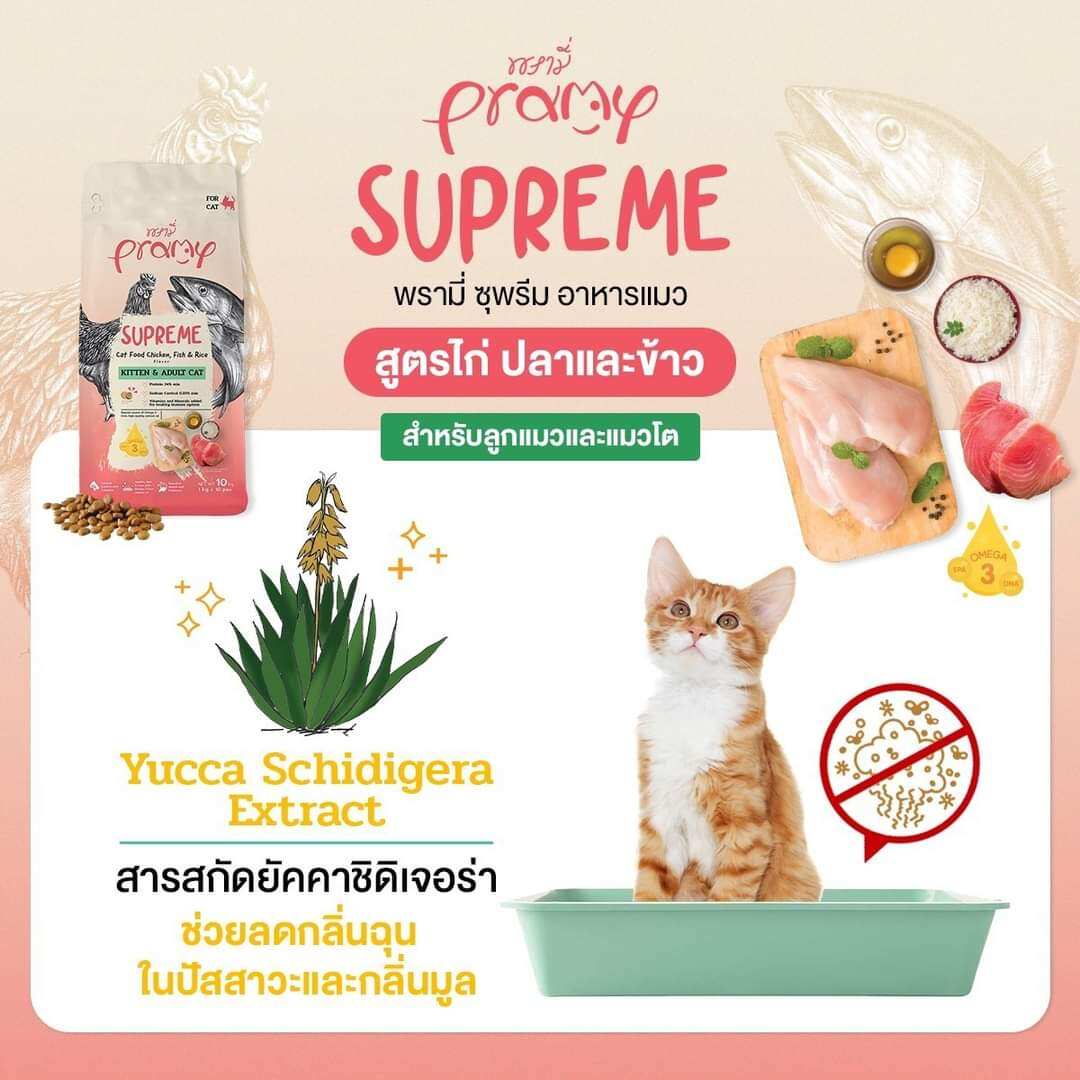 อาหารแมวเม็ด PRAMY ขนาด 1kg | Lazada.co.th