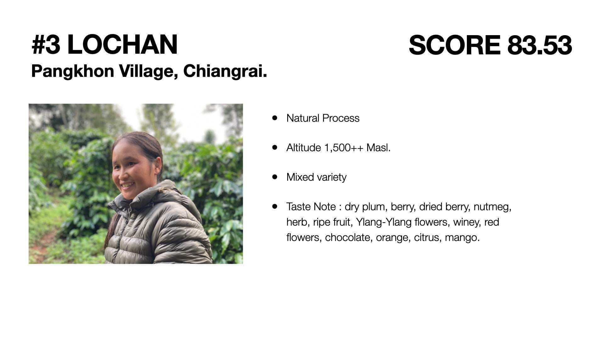 เมล็ดกาแฟคั่วอ่อน LOCHAN | Lazada.co.th