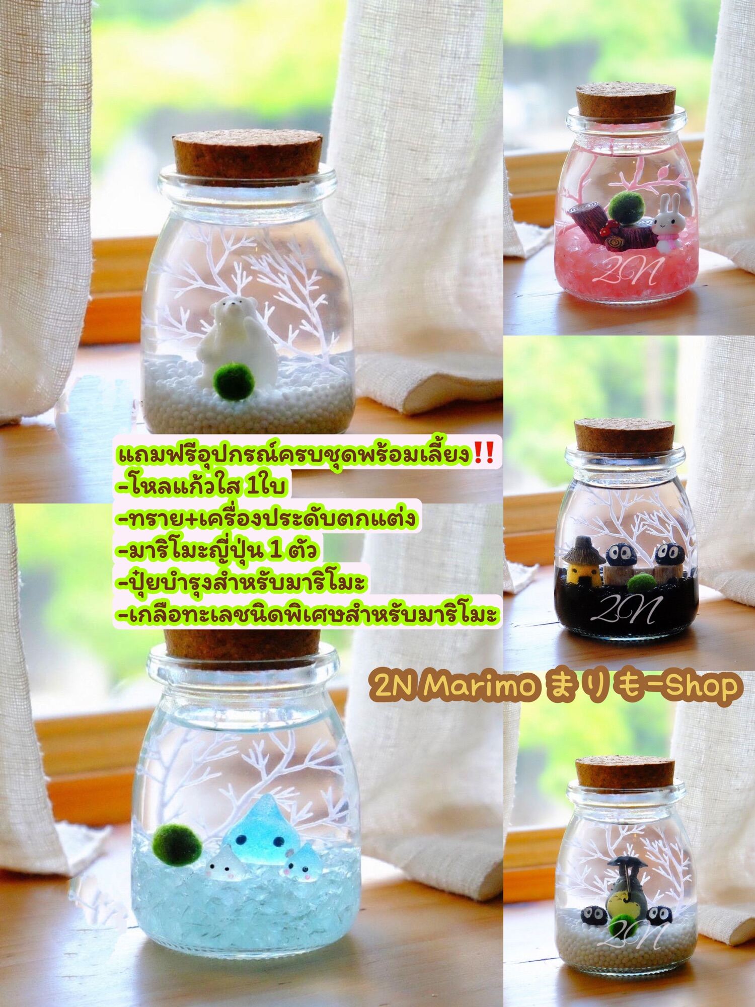 (พร้อมส่ง) ชุดพร้อมเลี้ยงมาริโมะ มาริโมะ Marimo Set แถมฟรีอุปกรณ์ครบชุดพร้อมเลี้ยง