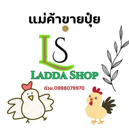 ช้อปออนไลน์ ลัดดา.พาราพารวย.Shop | Lazada Thailand
