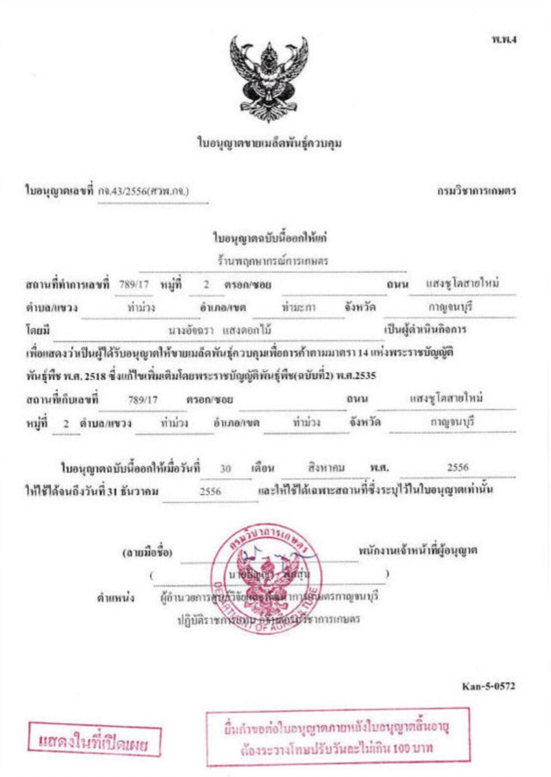 เมล็ดBluedream สายพันธุ์นอก มีเก็บเงินปลายทาง - โคโลคาเซียไทยแลนด์ - ThaiPick