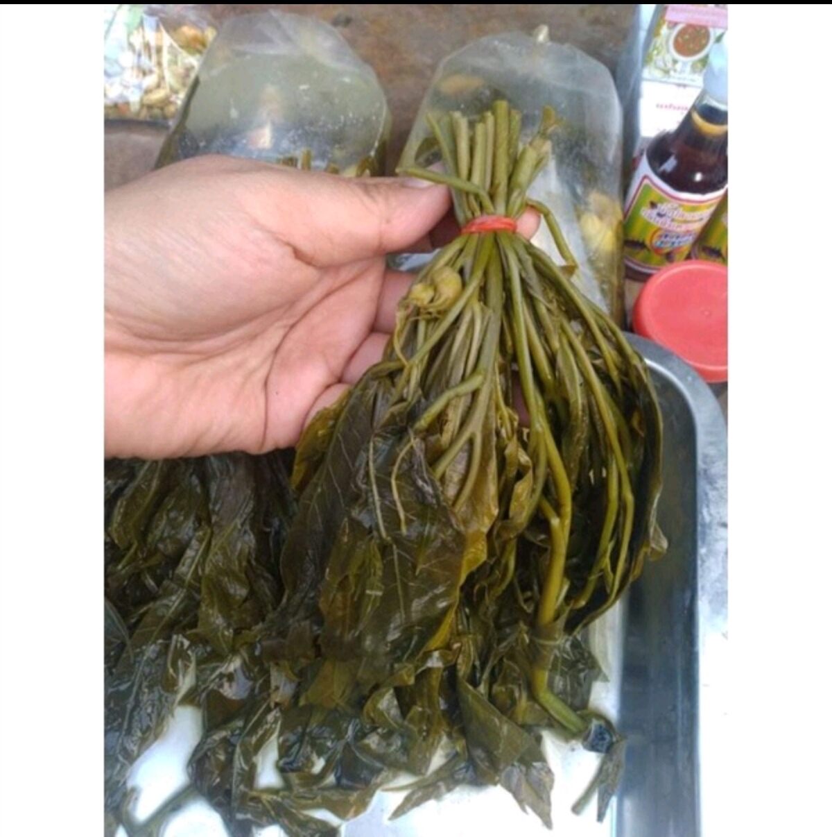 KaDaChinผักกุ่มน้ำดองเปรี้ยว | Lazada.co.th