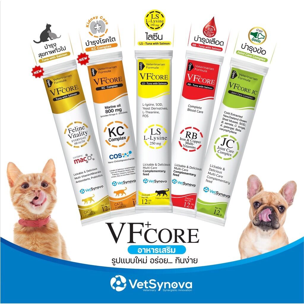 VFcore Lysine อาหารเสริมไลซีนสำหรับแมว - หนุ่มหล่อ - ThaiPick