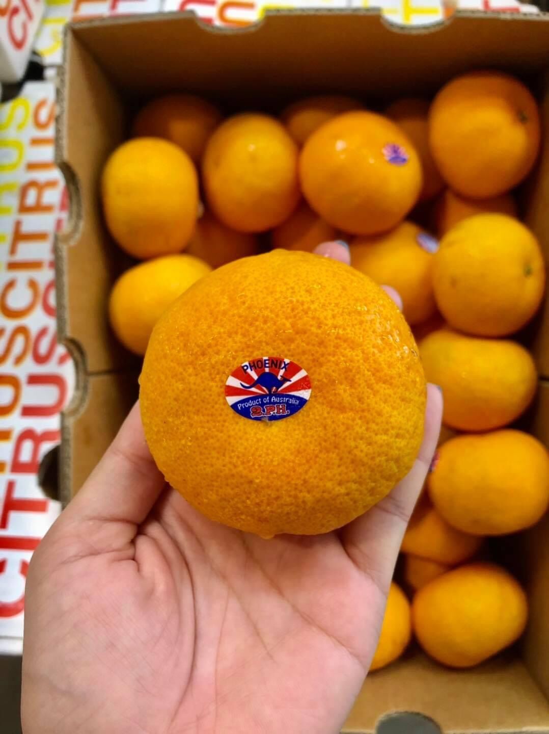 ส้มแมนดารินออสเตรเลีย 2PH 1 กิโล Phoenix Mandarin ส้มสวยๆ ลูกใหญ่ พรี ...