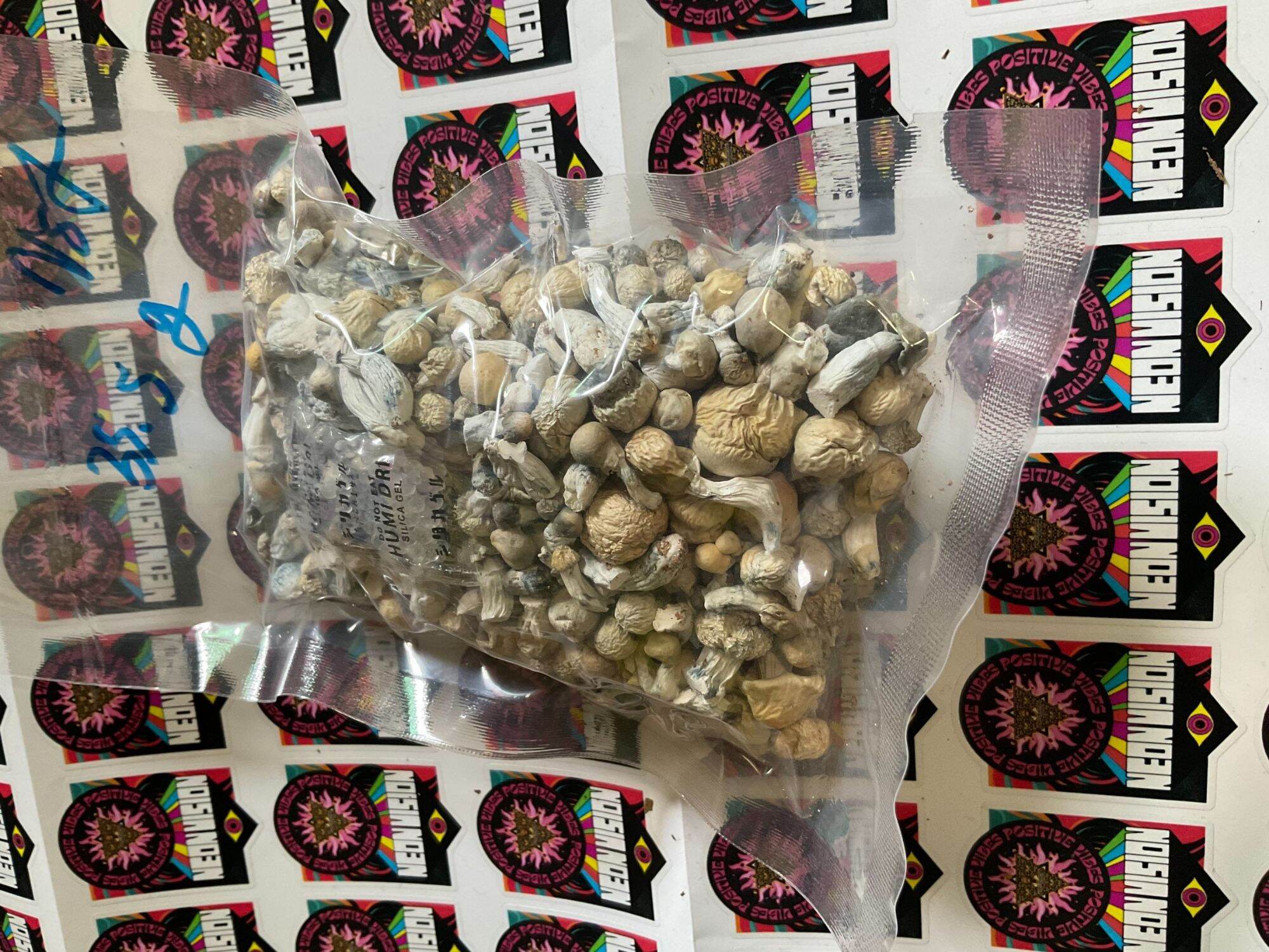 magic shroom th - Magic mushroom th8 - ThaiPick