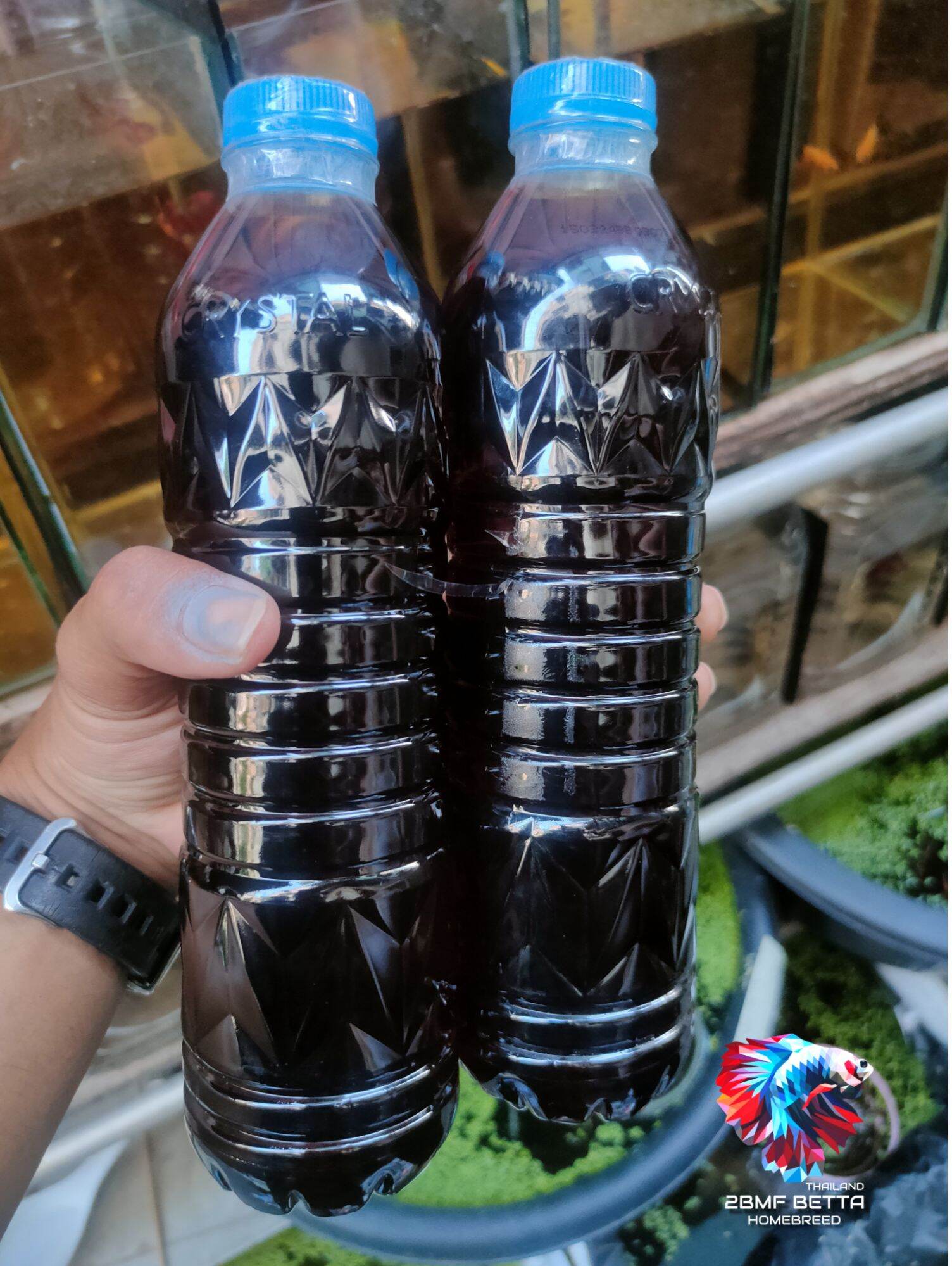 น้ำหมักใบหูกวาง - 2BMF BETTA - ThaiPick