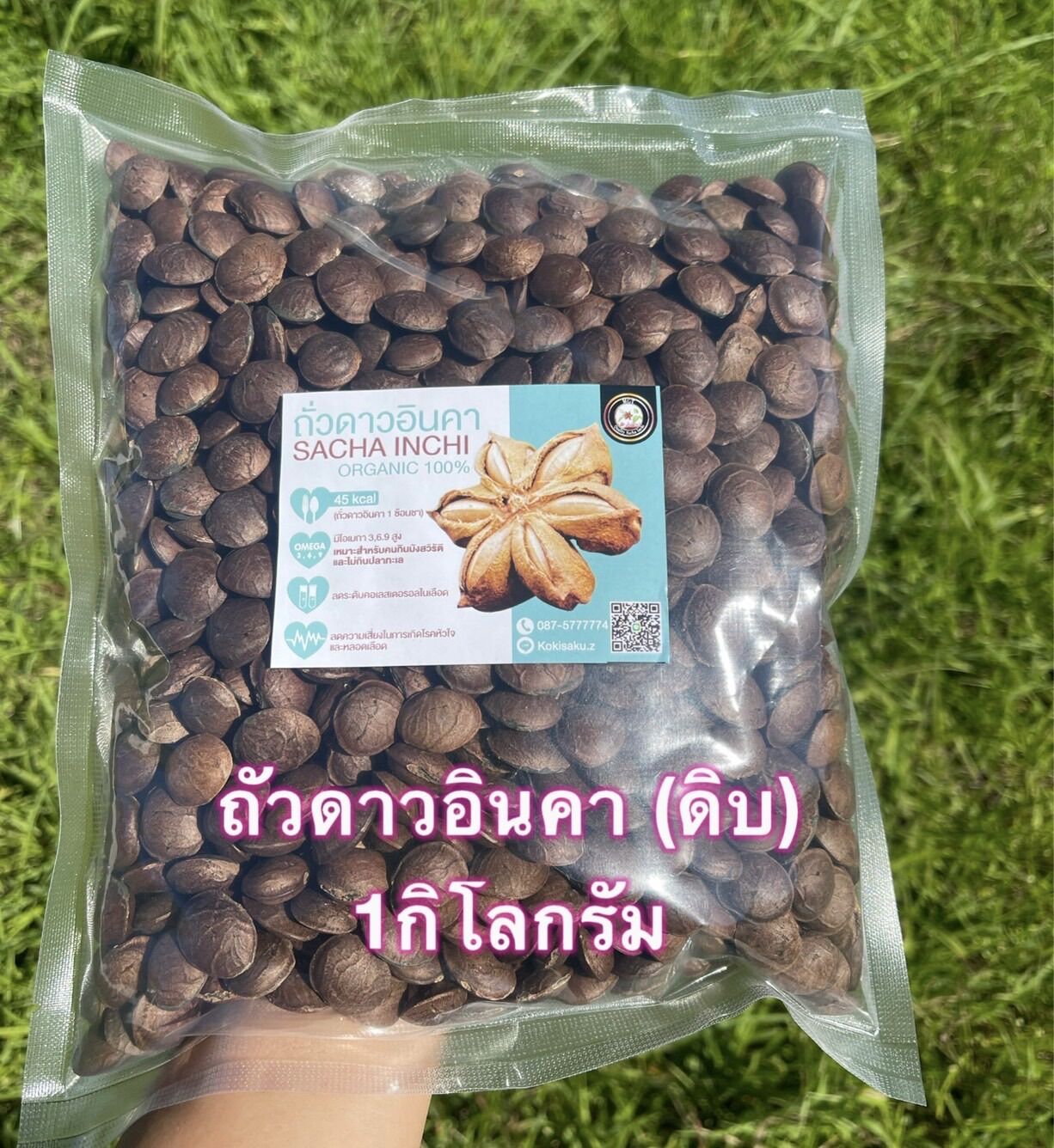 ถั่วดาวอินคา ดิบ 1กิโลกรัม | Lazada.co.th