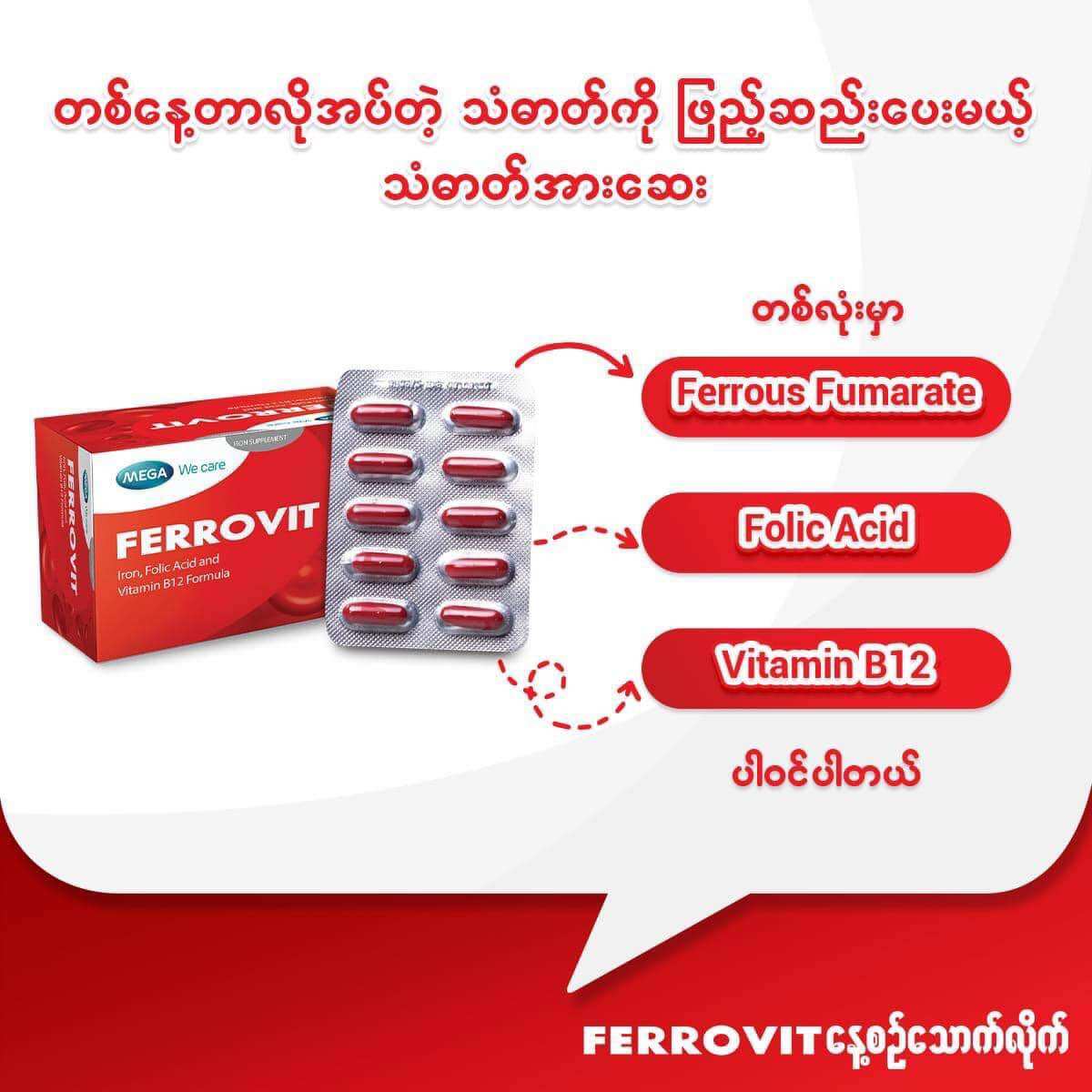 Ferrovit Iron Supplement | Lazada.co.th