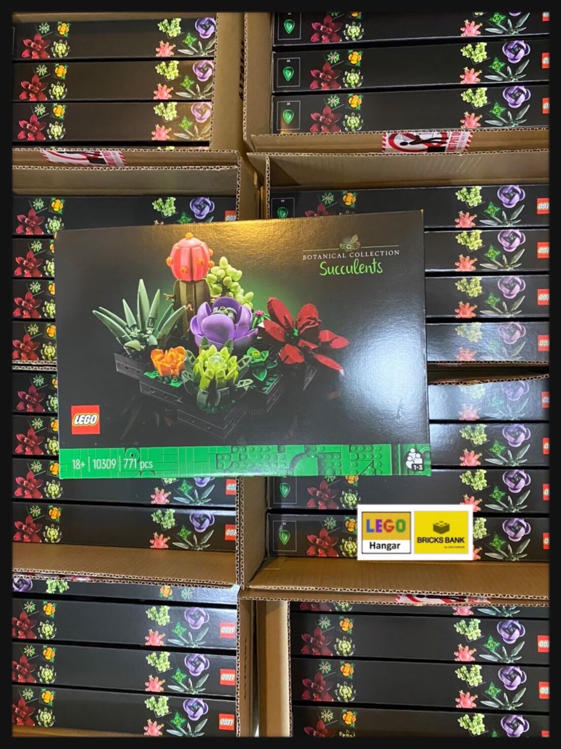 พร้อมส่ง Lego 10309 Succulents | Lazada.co.th