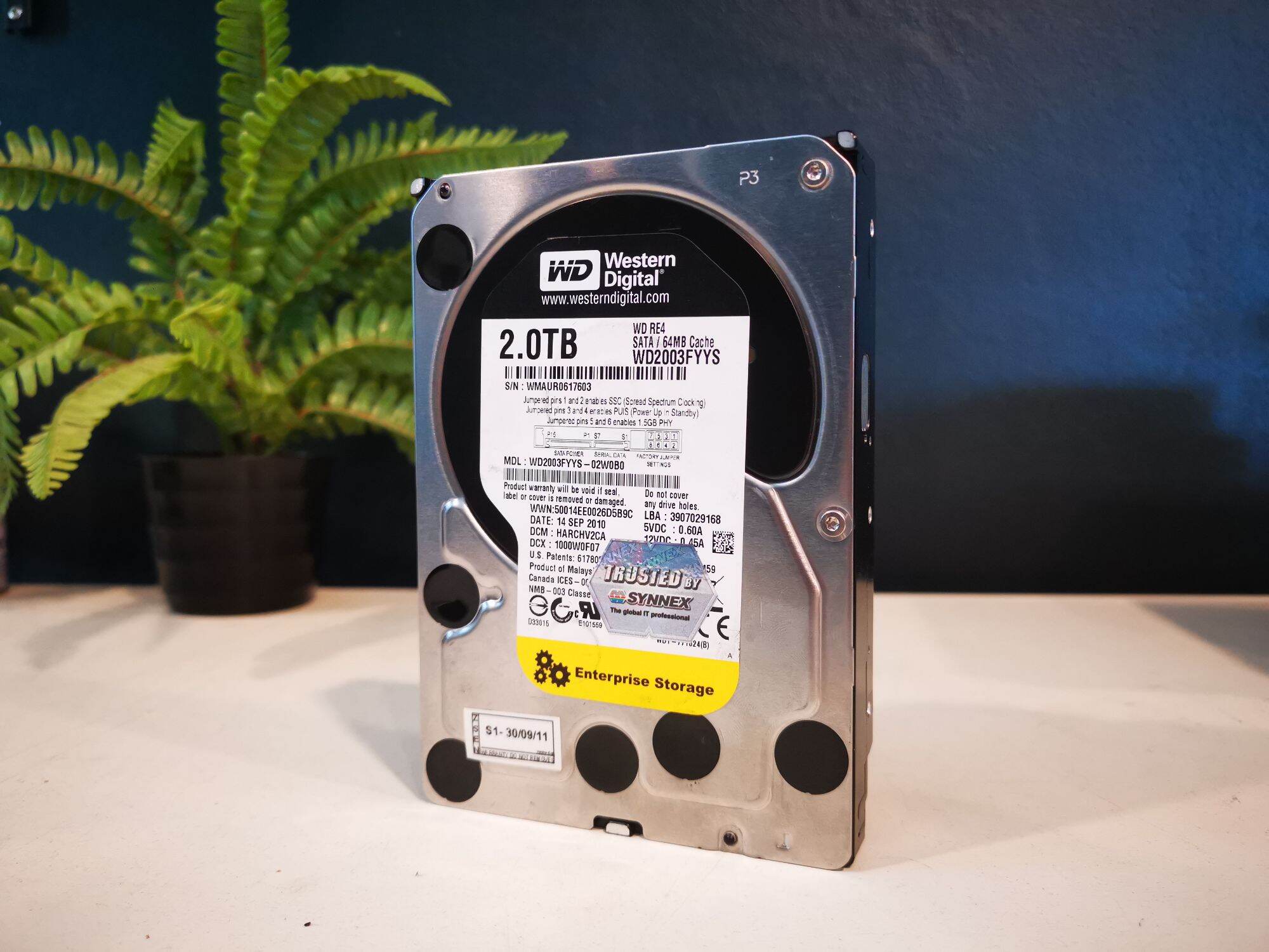 HDD (ฮาร์ดดิสก์) 2 TB มือสองสภาพสวย แถมฟรีสายSATA 1 เส้น คละยี่ห้อ ...