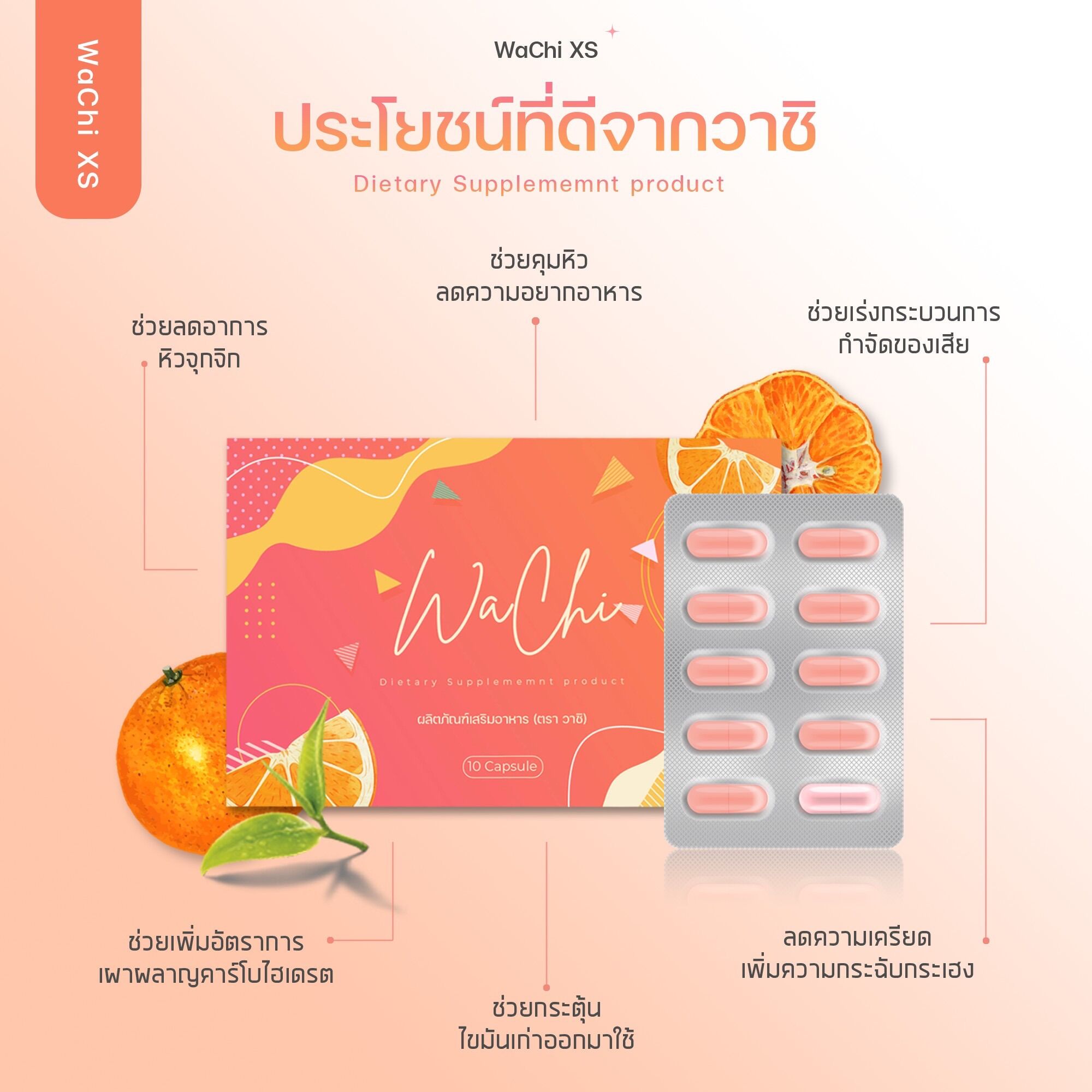 WACHI SET ทดลอง คู่หู WACHI XS WACHI JELLY FIBER PREBIOTICS - WACHI ...