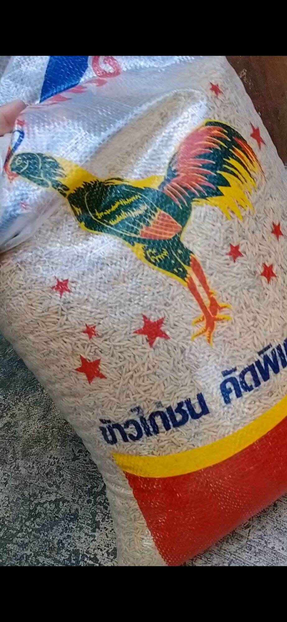 ข้าวเปลือก10กก.130บาท - 0933768626_aKViWTY1 - ThaiPick