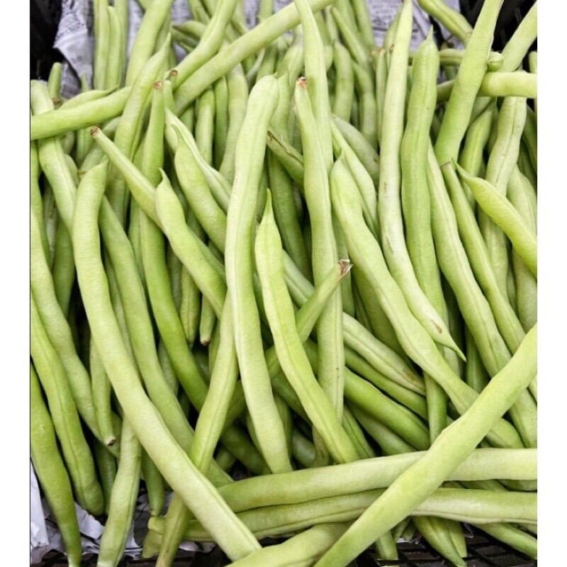 ถั่วแขก สด（1kg） สะอาด รับประกันคุณภาพ Green beans 四季豆角 - yuanweihaoci ...